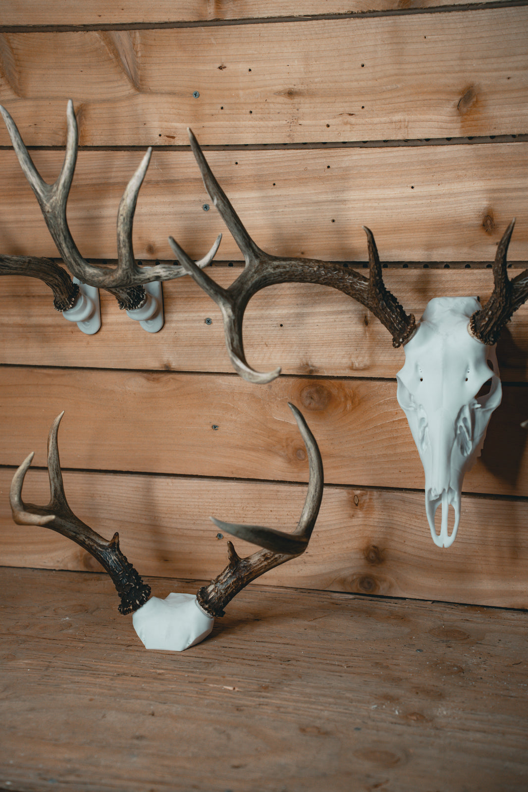 Buck Bracket