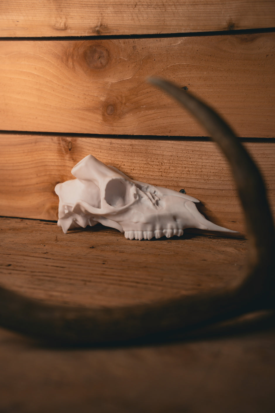 Shop All – Buck Bracket