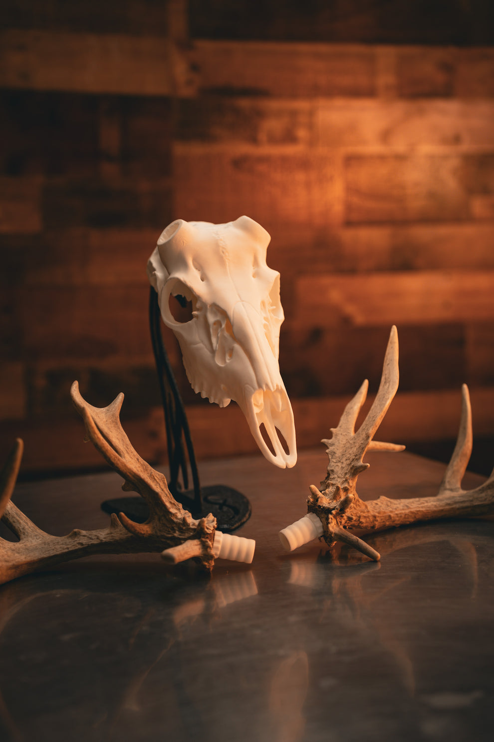 Whitetail Deer - Replica Mount – Buck Bracket